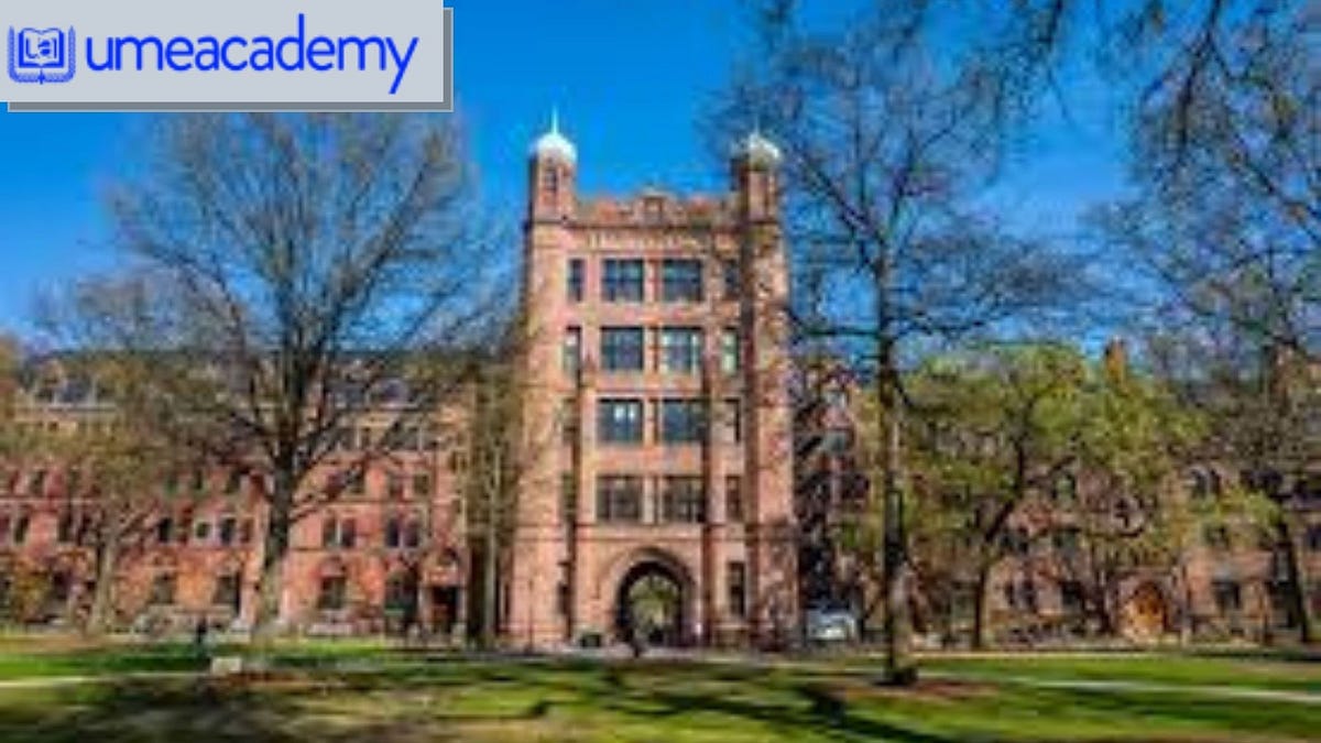 Yale Admissions - Poonammaantech - Medium