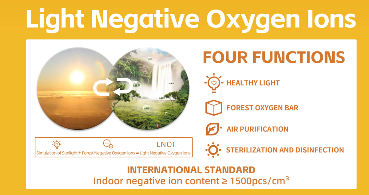 Light Negative Oxygen Ions (LNOI) technology is perfect for the home ...