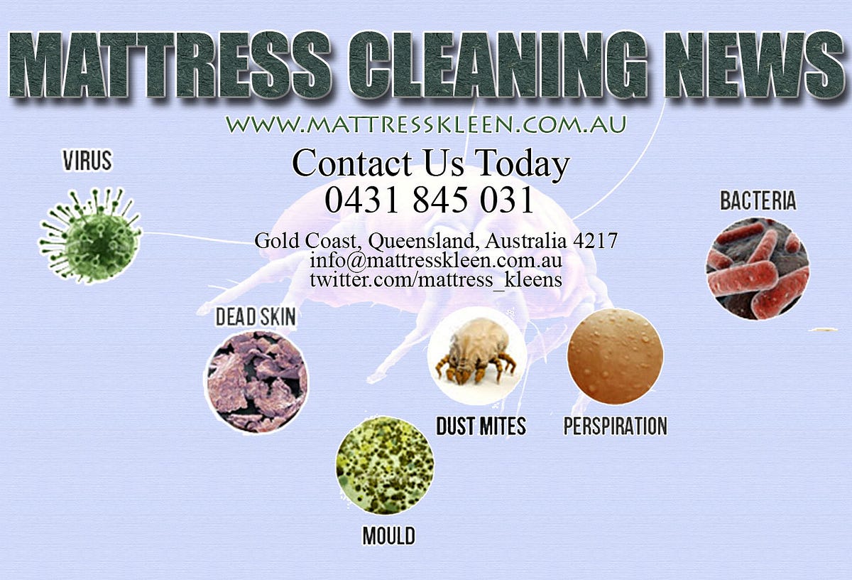 How to Kill Dust Mites and Protection From it | by Elligett | Medium