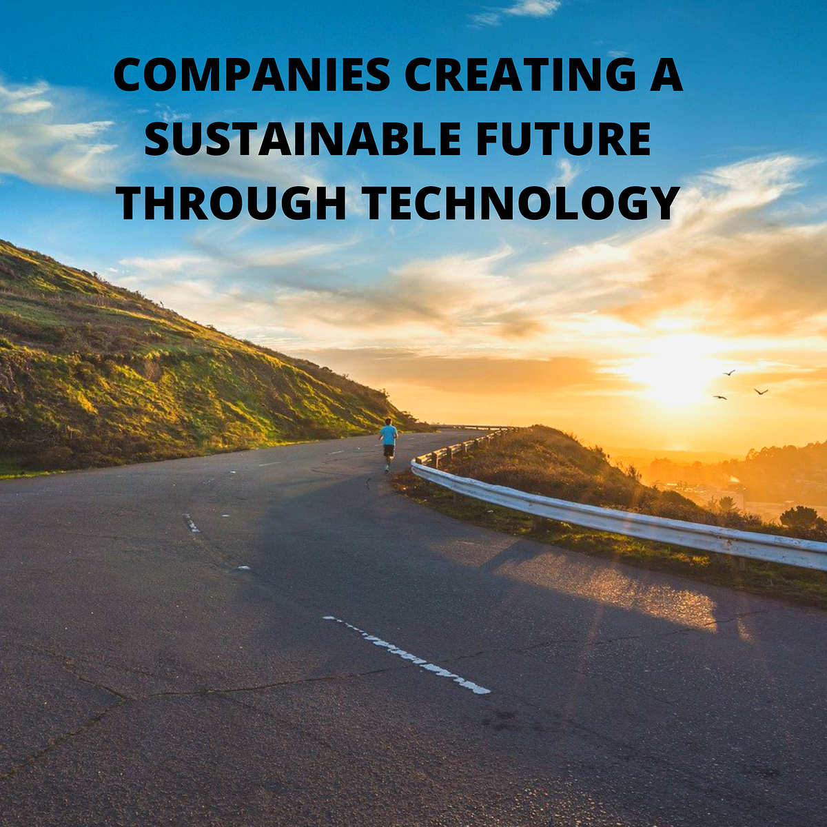 COMPANIES CREATING A SUSTAINABLE FUTURE THROUGH TECHNOLOGY | by Press ...