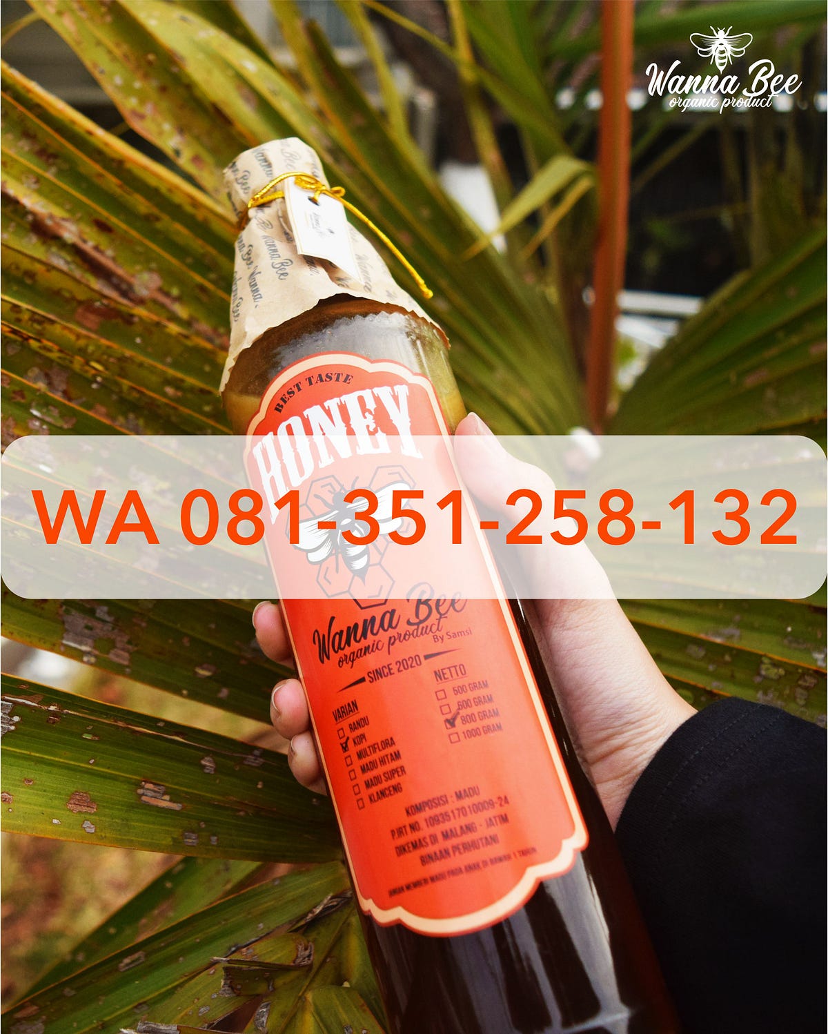 MURNI | WA 081 351 258 132 | WANNA BEE - WannaBee - Medium