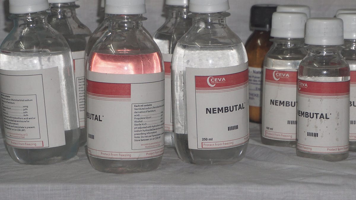 OÙ ET COMMENT PUIS-JE ACHETER LA SOLUTION DE NEMBUTAL PENTOBARBITAL ...