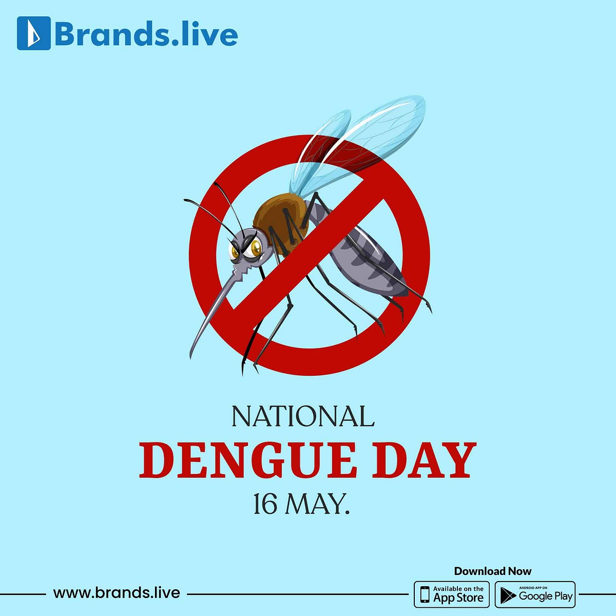 Dengue fever is a serious health concern | by Brands.live | Medium
