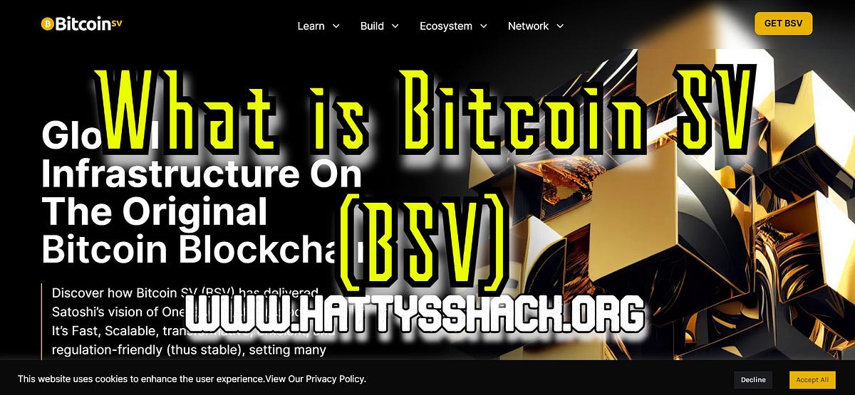 What is Bitcoin SV (BSV). Hey there! If you’re interested in… | by Earn With Hatty | Coinmonks ...