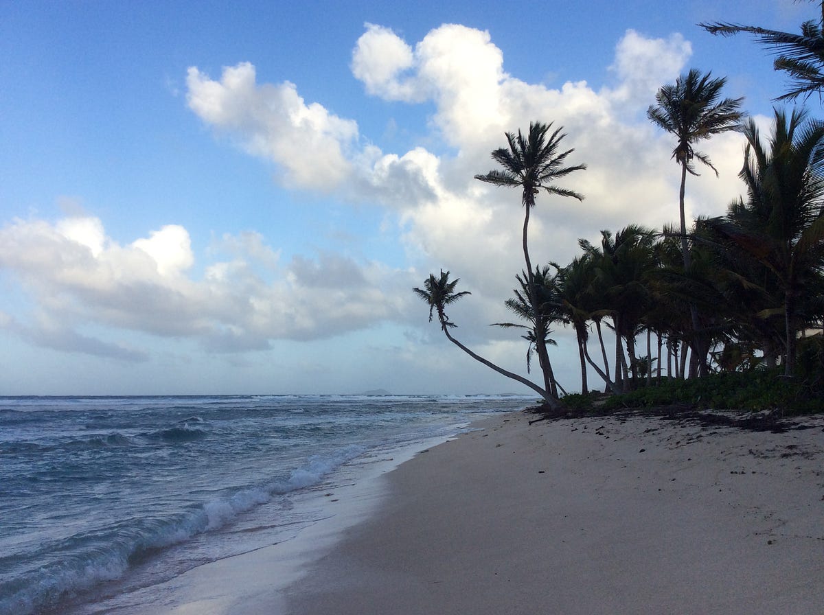 After a Natural Disaster. I wanted to learn how people cope with… | by ...