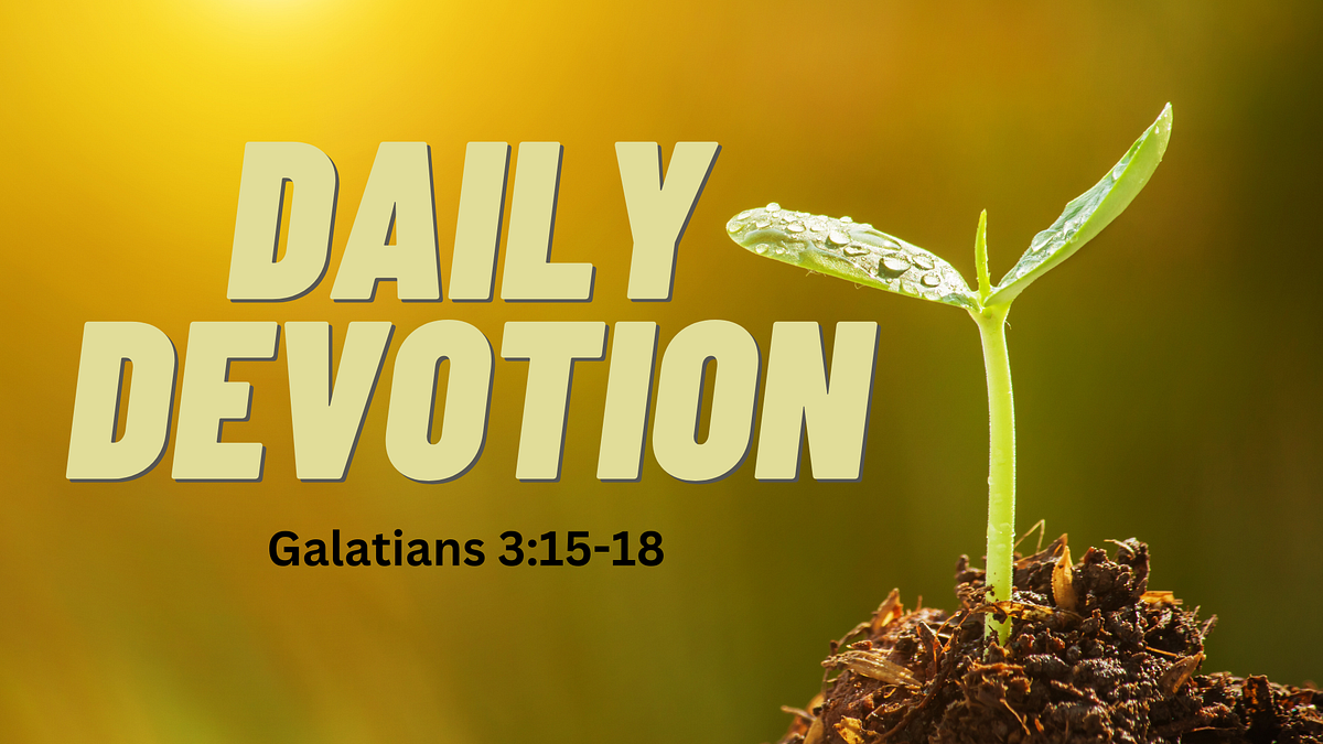 The Seed of Abraham. Galatians 3:15–18 | by Pastor Rich Bitterman | Medium