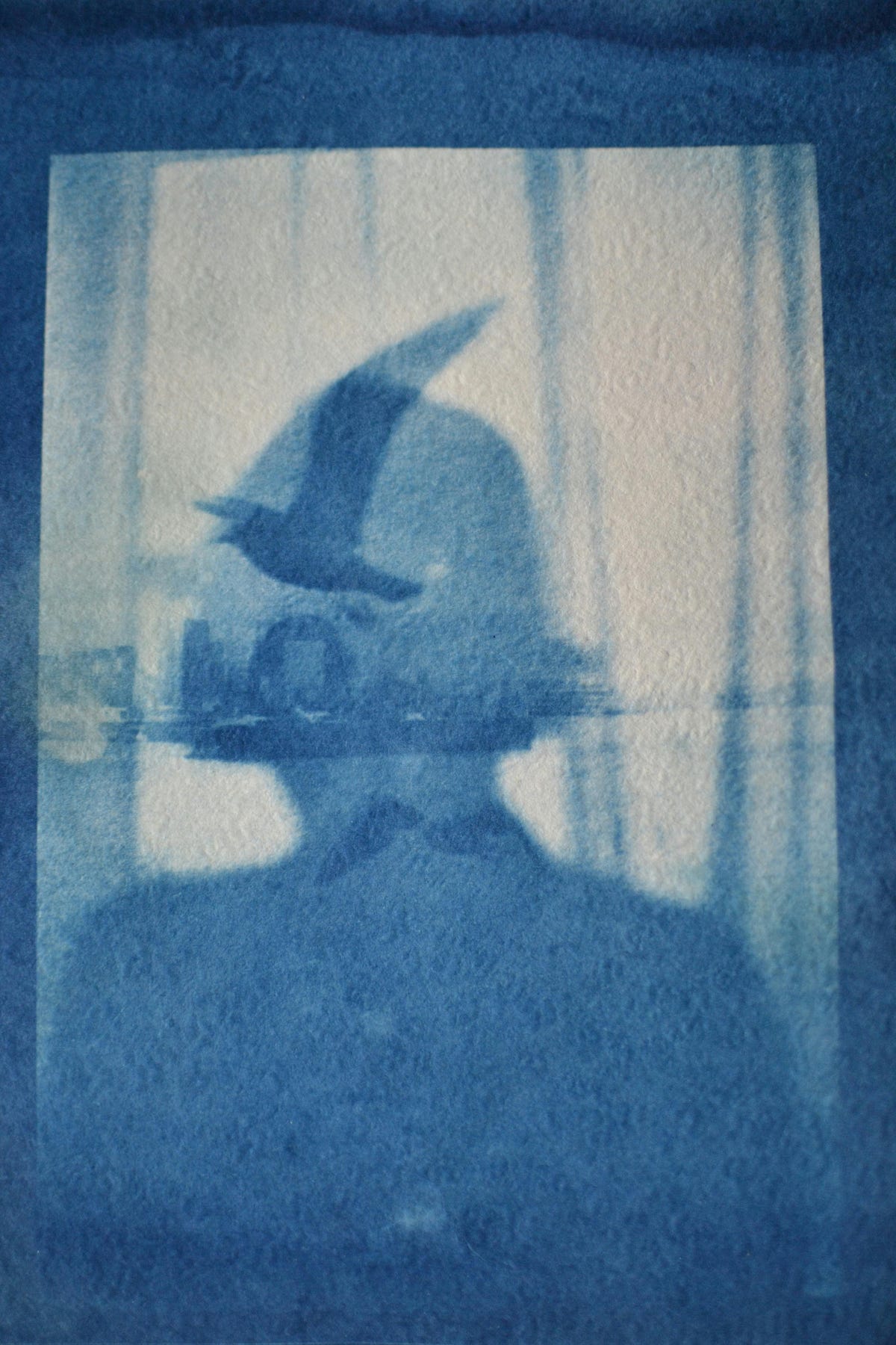 Operating Within Normal Limits of Almost (Poem) | The Howling Owl