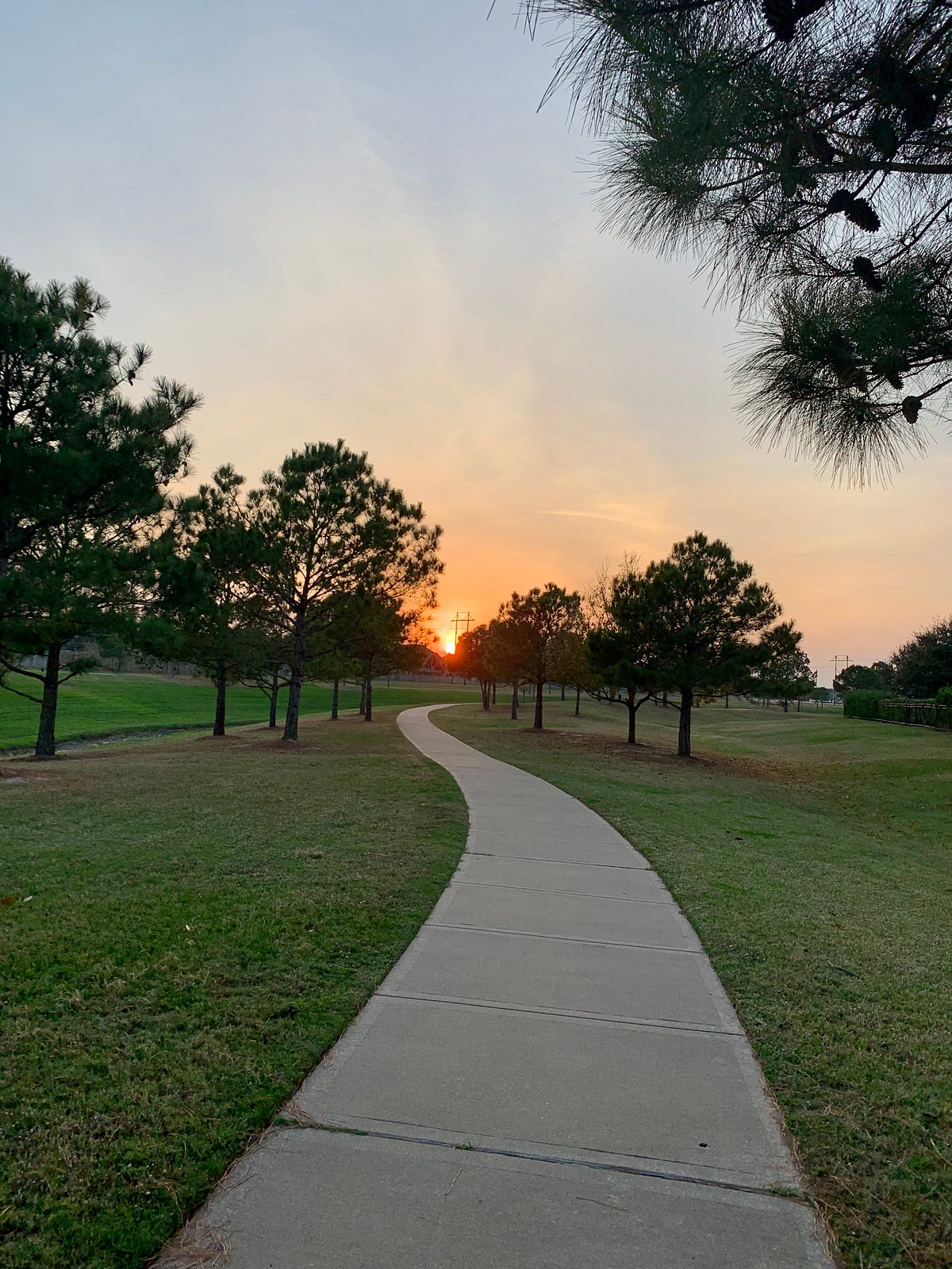 A Gorgeous Nature Trail - Six Word Photo Story Challenge - Medium