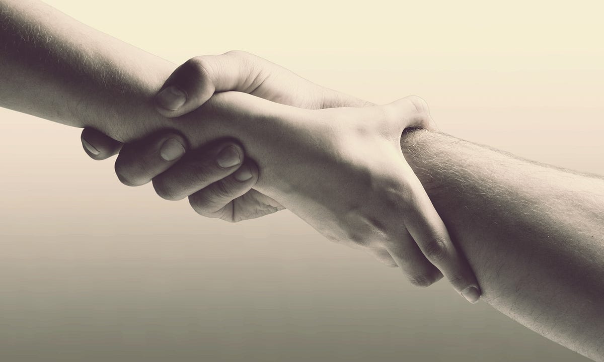 An Ibis a day keeps the doctor away: The health benefits of volunteering | by Jennifer Pham ...