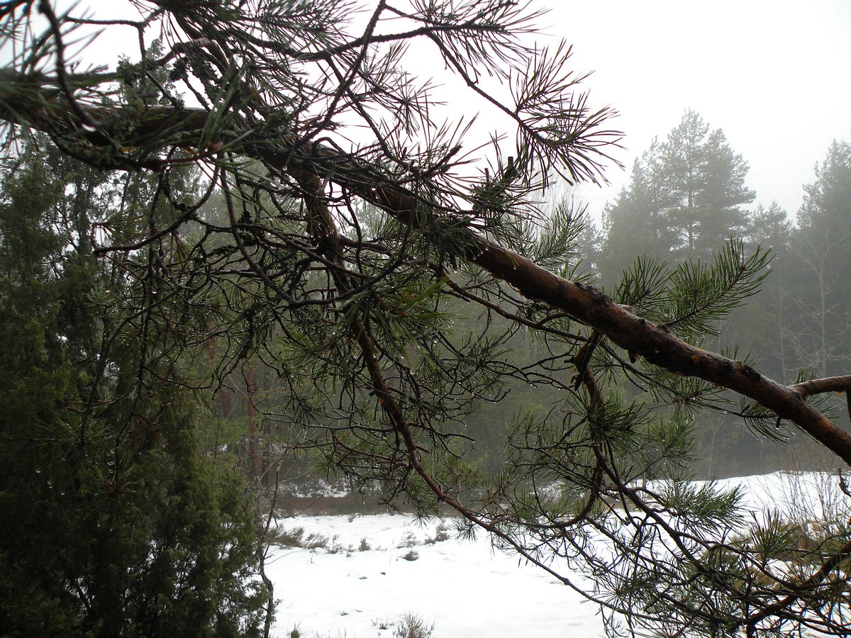 As I walk My Path. Something that crossed my mind | by A.H ...