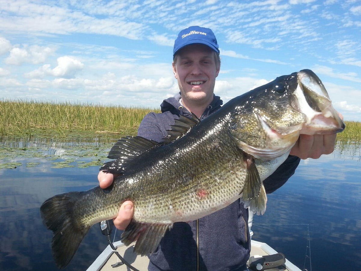 Bass Fishing Secrets: Pro Techniques for Landing the Big One | by ...