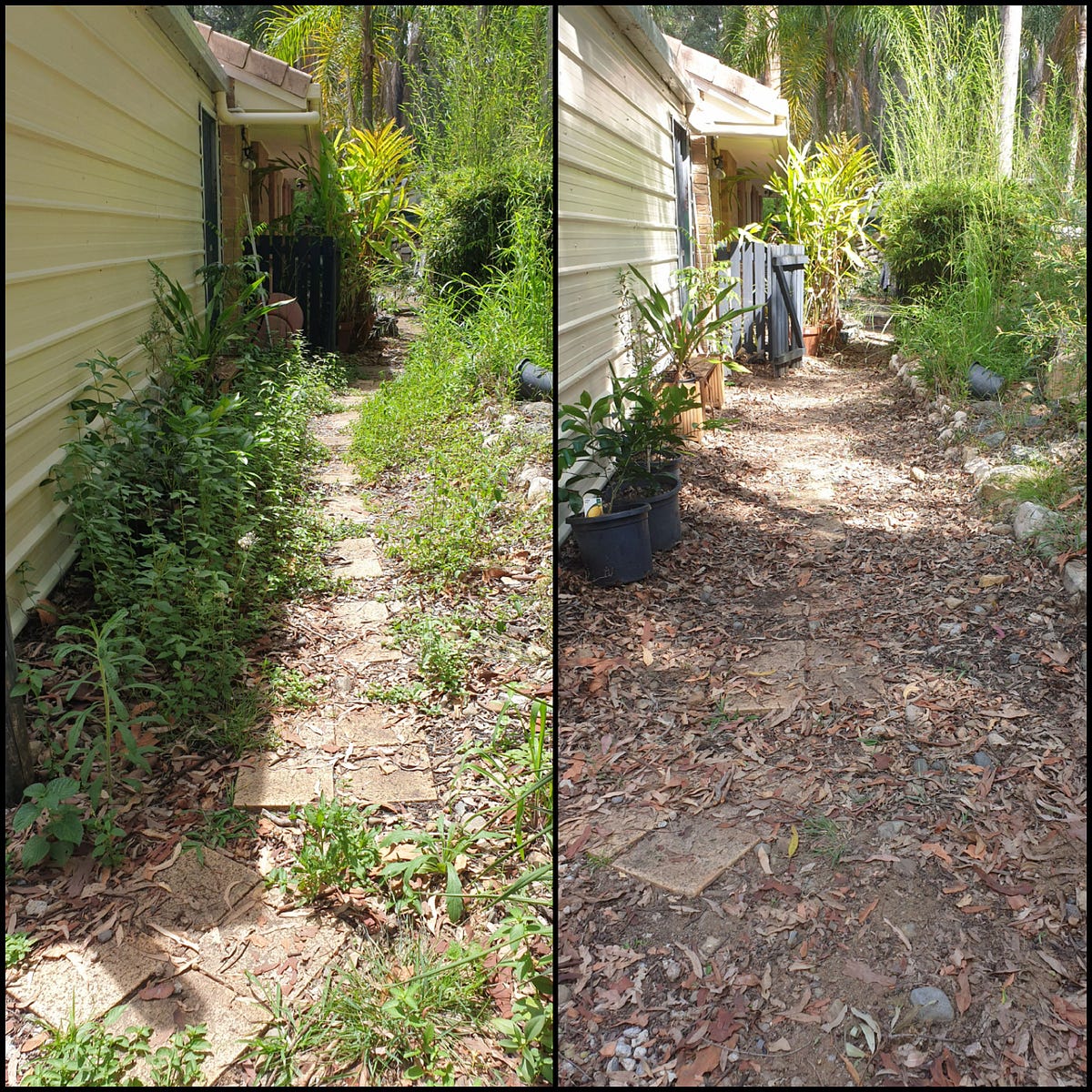 An Ode to Sweating in the Garden - Tea with Mother Nature - Medium