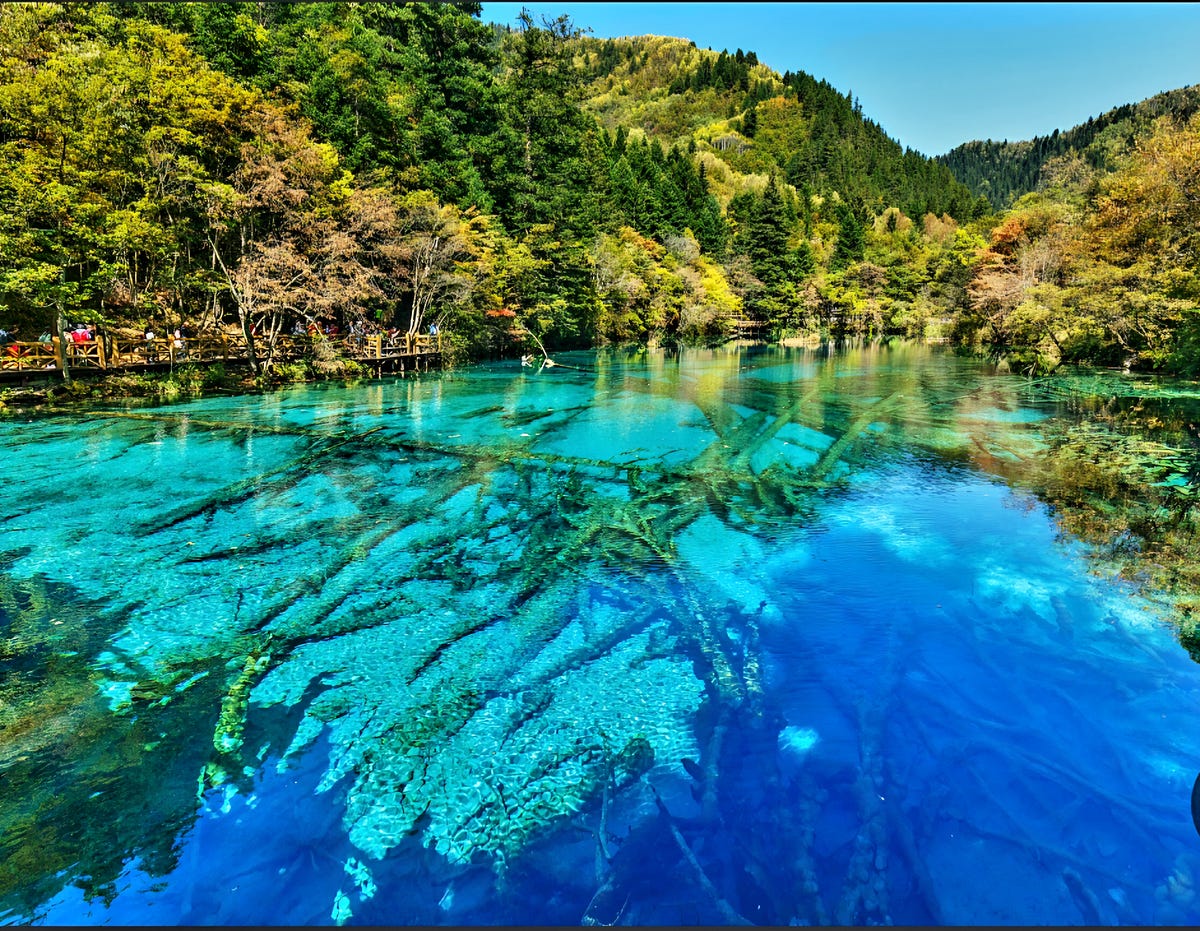 Nature gives us life, and culture gives us meaning: Which one is ...