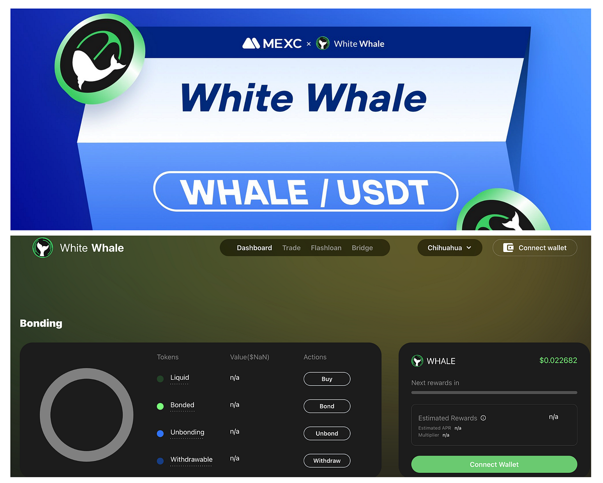 Recap of the 4th week of June. Highlights about WhiteWhale and Migaloo Zone. | by Whaley DAO ...