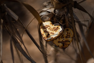 Read this when I am not around.. Photo by Laurin Vontobel on Unsplash ...