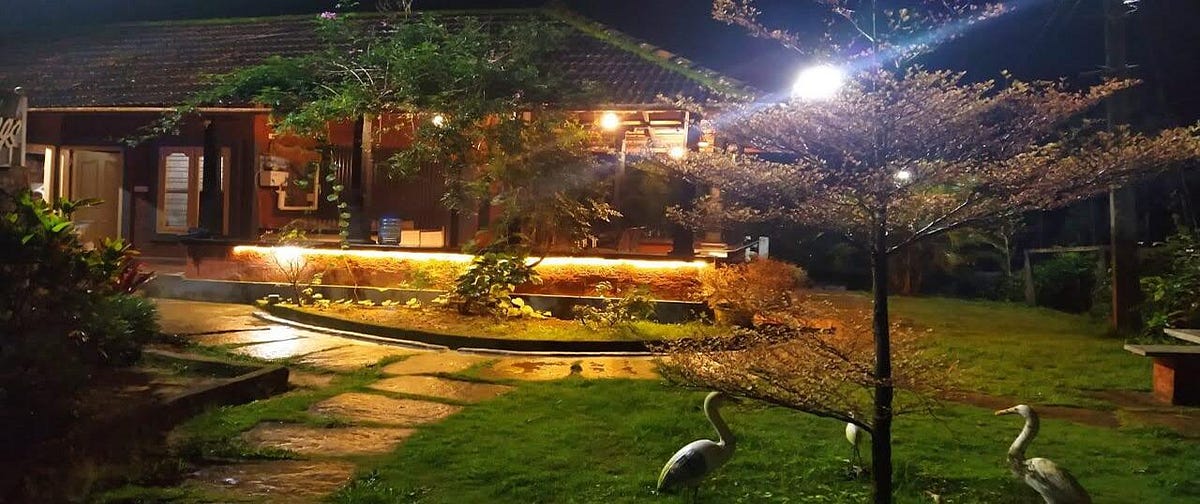 Couples’ Paradise: Handcrafted Coorg Packages for Romantic Escapes | by ...