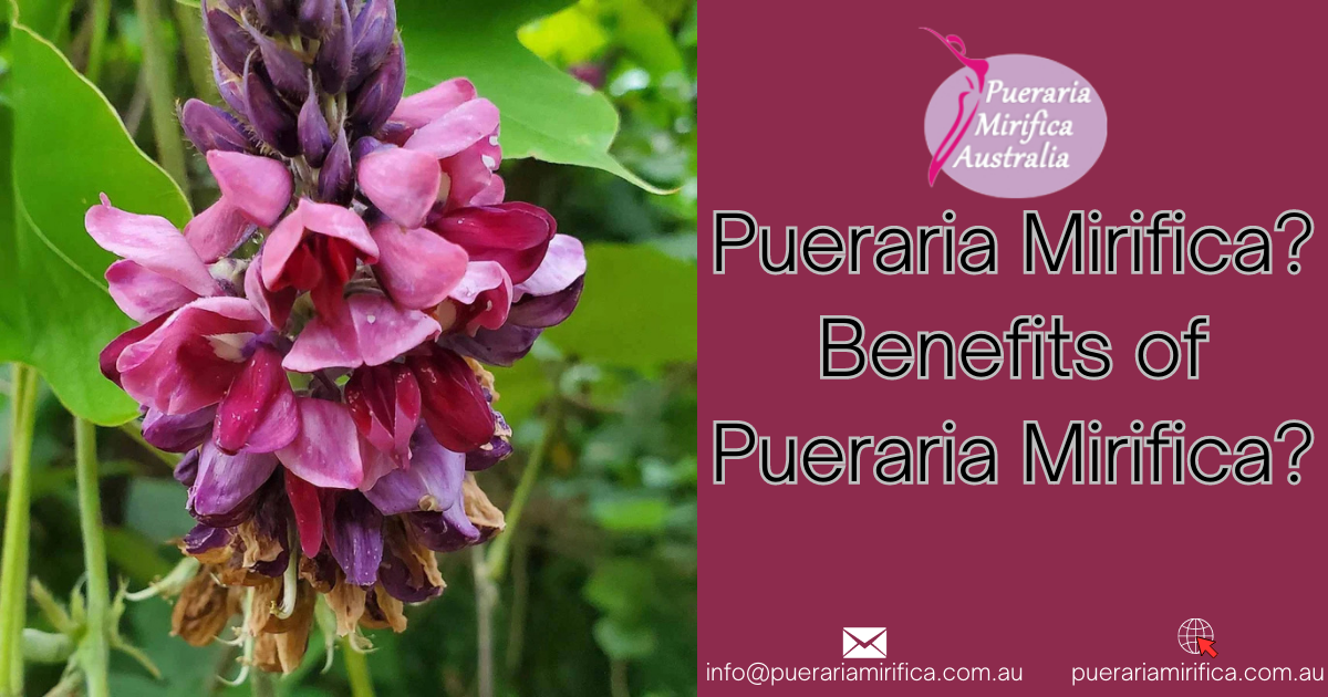 Unlock the Beauty and Wellness Benefits of Pueraria Mirifica | by ...