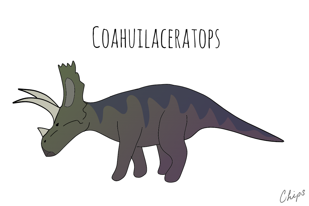 Coahuilaceratops