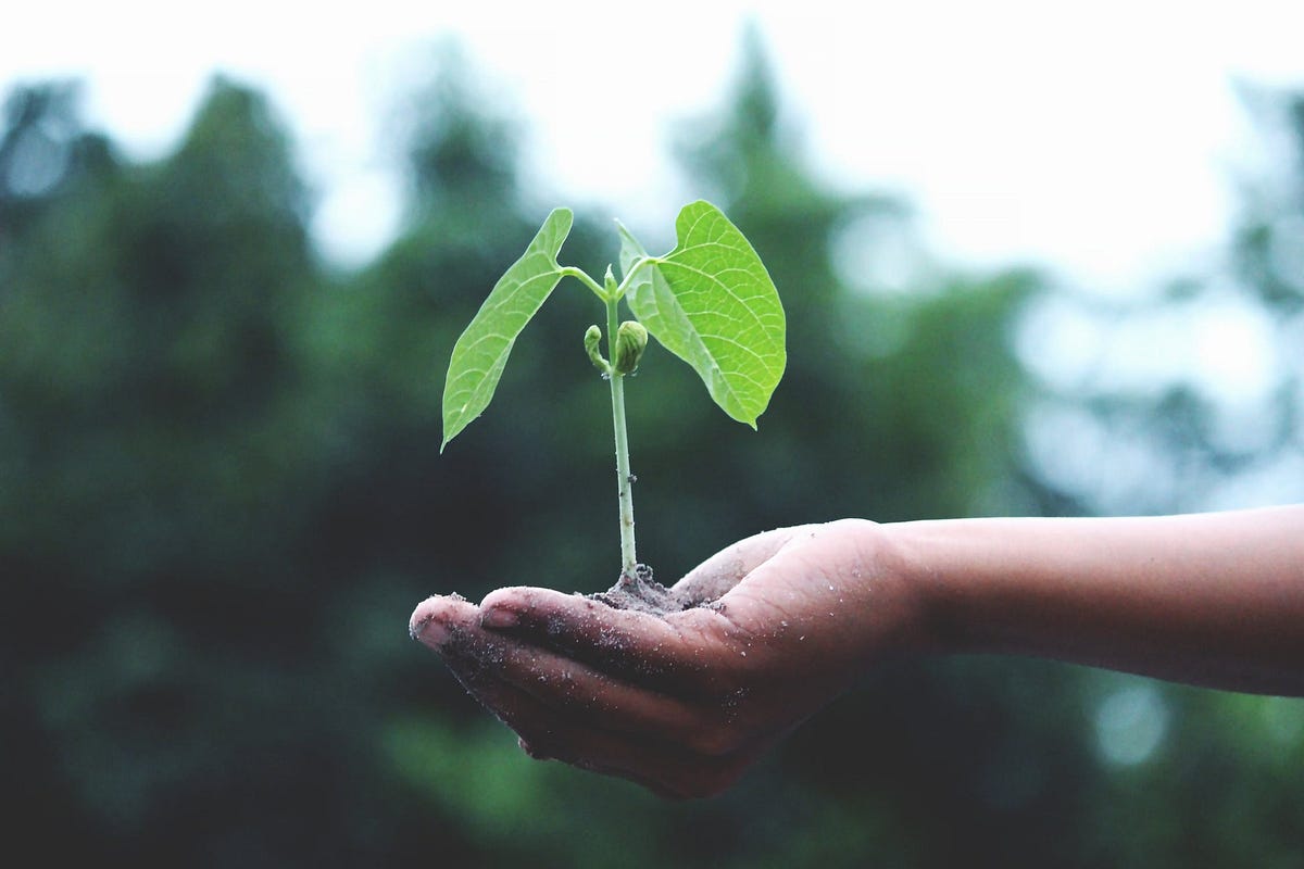 Financing for Small Business: A 6 Step Guide | by Tara M. Clapper | Medium