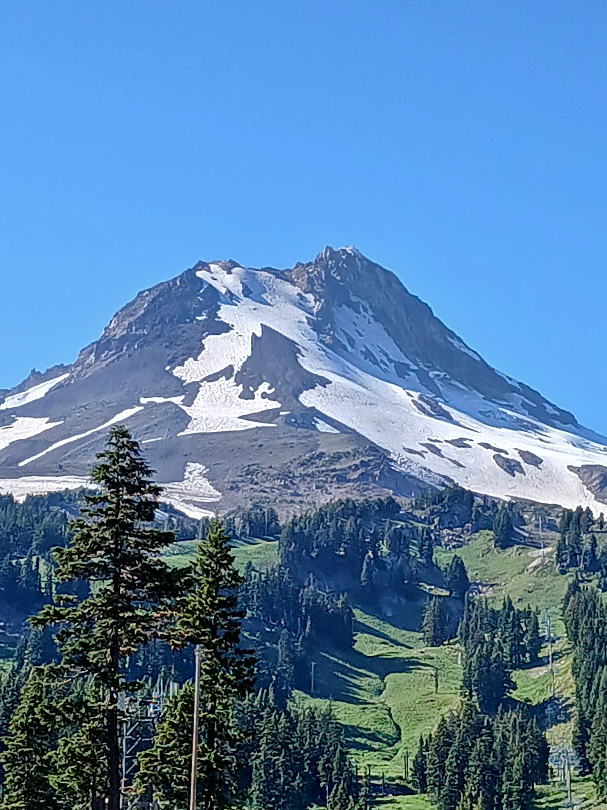 My Volcano is My Friend, Terry McLeod | Activated Thinker