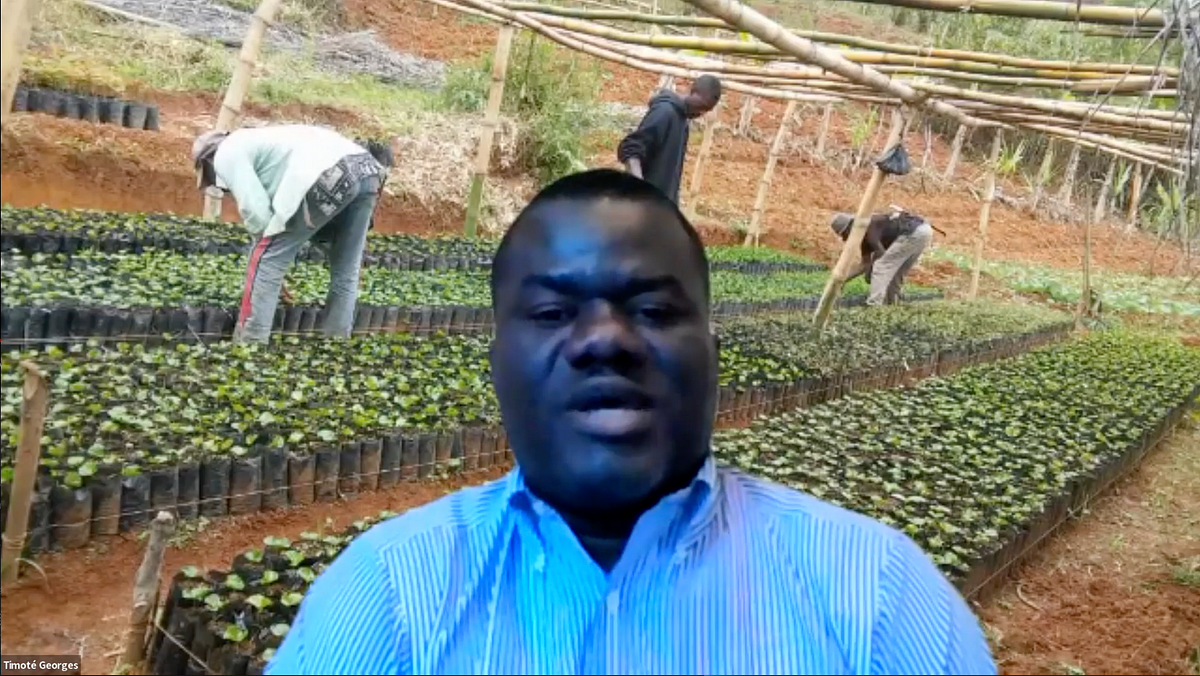 “We just call it cotton” | Webinar summary | by Terra Genesis | Terra ...