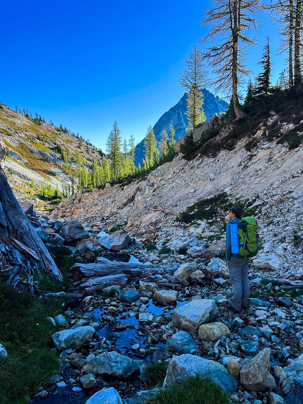 Our Experience Backpacking in the Wilds of North Cascades National Park ...
