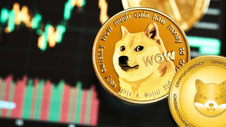 LEASH’s Essential Guide to Airdrop Security | by Doge Killer | Nov ...