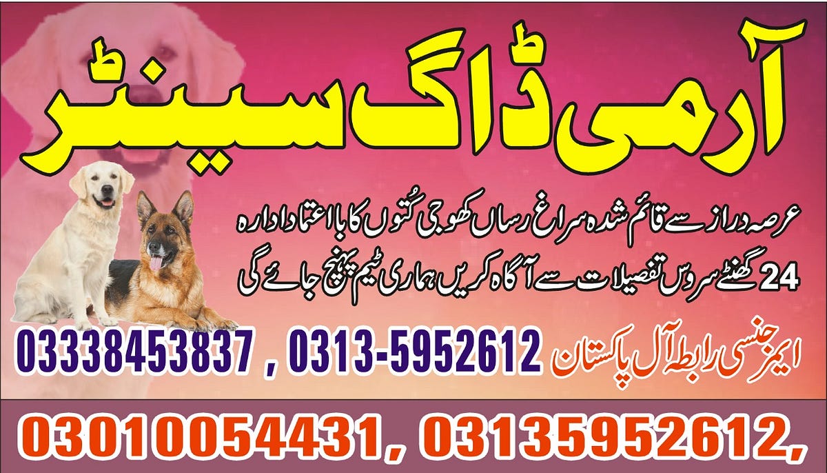 Army Dog Centre Sadiqabad 03450682720 Working Dogs: These are often ...