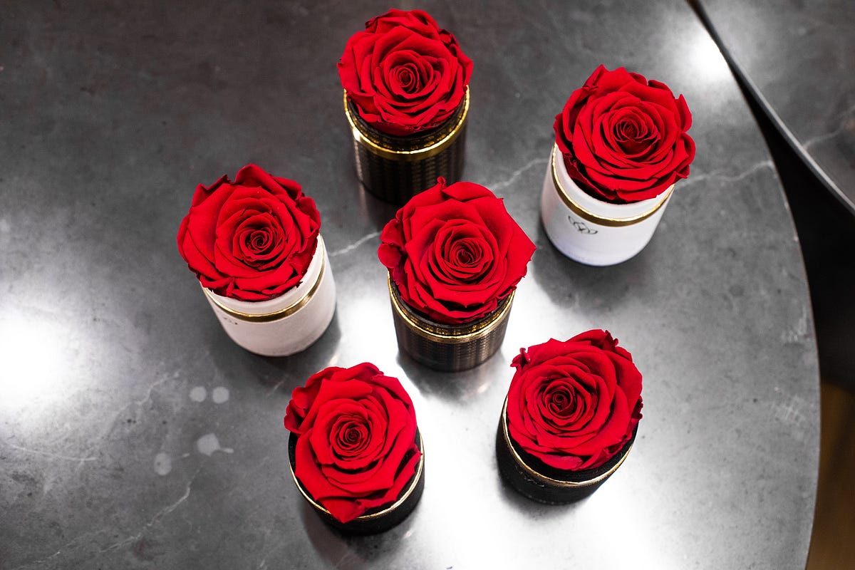 5 Reasons to Give Your Significant Other Roses | by The Million Roses ...