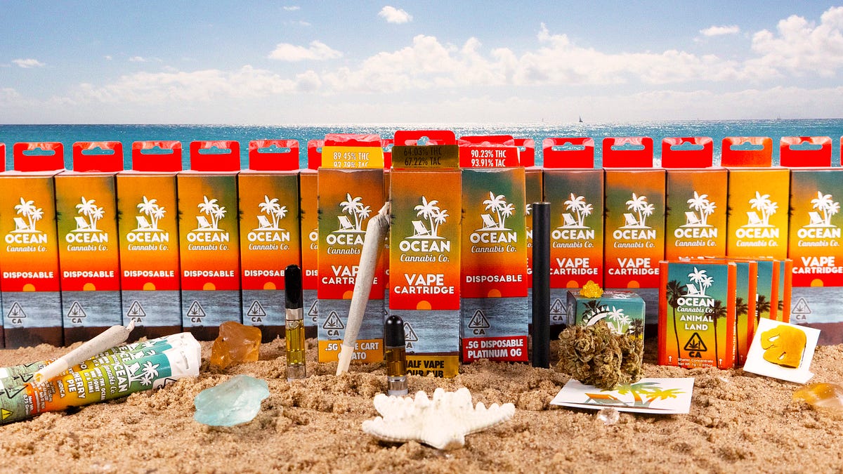 Review: Ocean Cannabis. Looking for a crisp clean cannabis… | by Ron ...