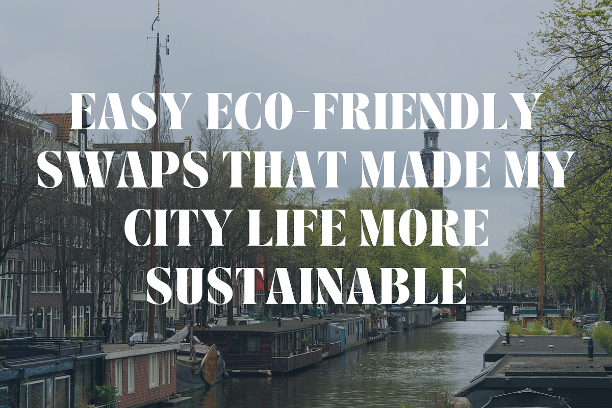 Easy Eco-Friendly Swaps That Made My City Life More Sustainable | by Nifty Urban | Aug, 2024 ...
