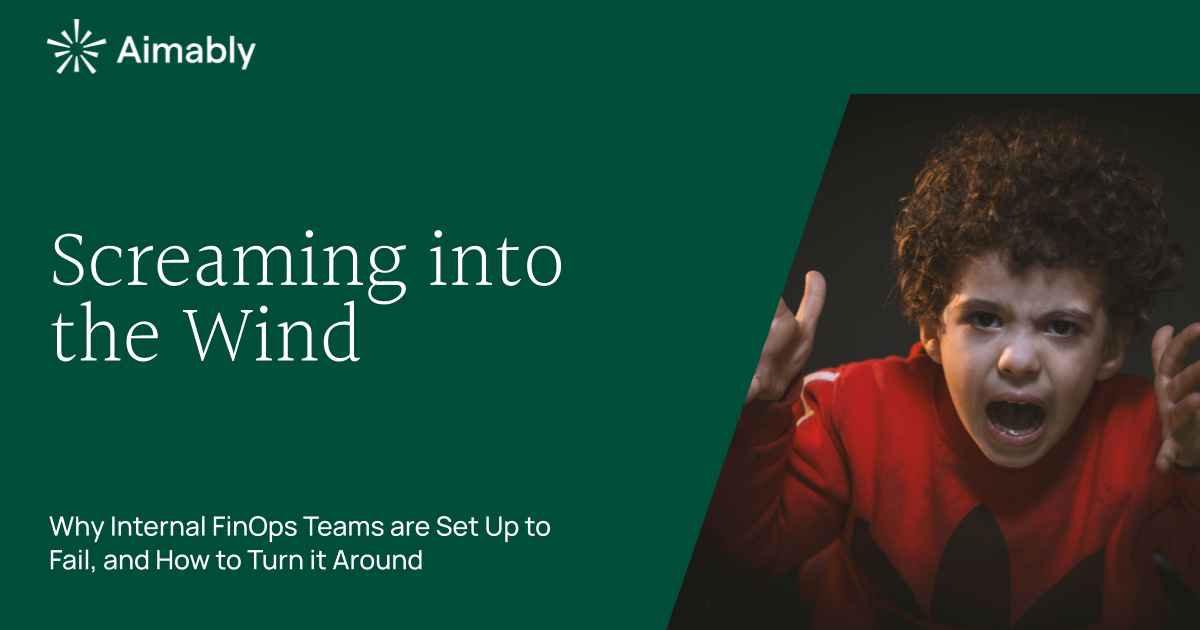 Screaming into the Wind: Why Internal FinOps Teams are Set Up to Fail ...