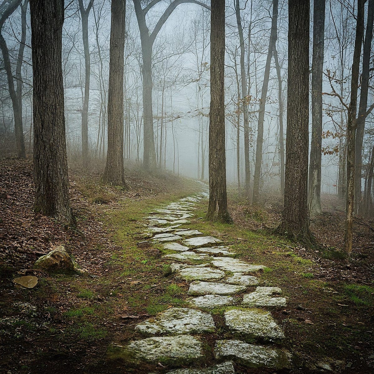 The Colors of Faith: Embracing the Grey in a Black-and-White World | by ...