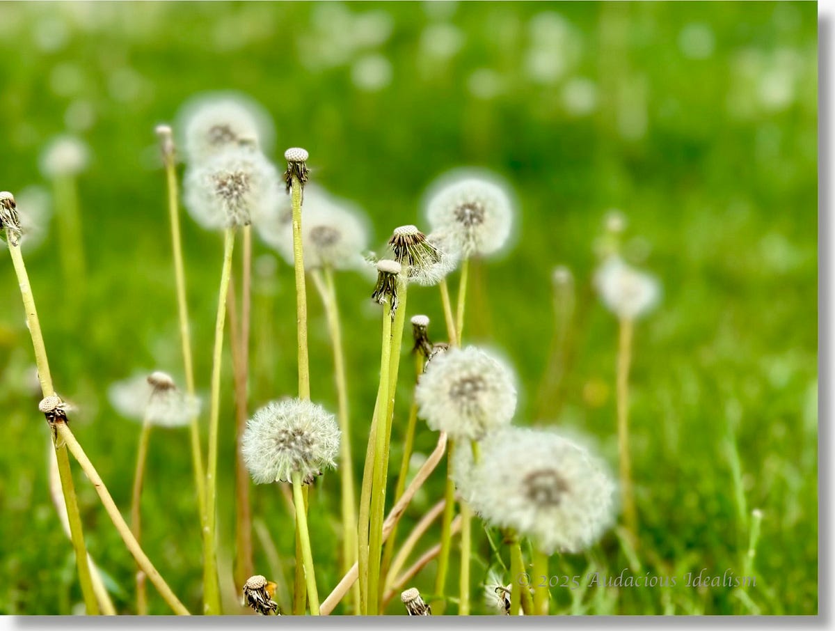 An Ideal Place. I often wonder what my ideal place is… | by Audacious ...
