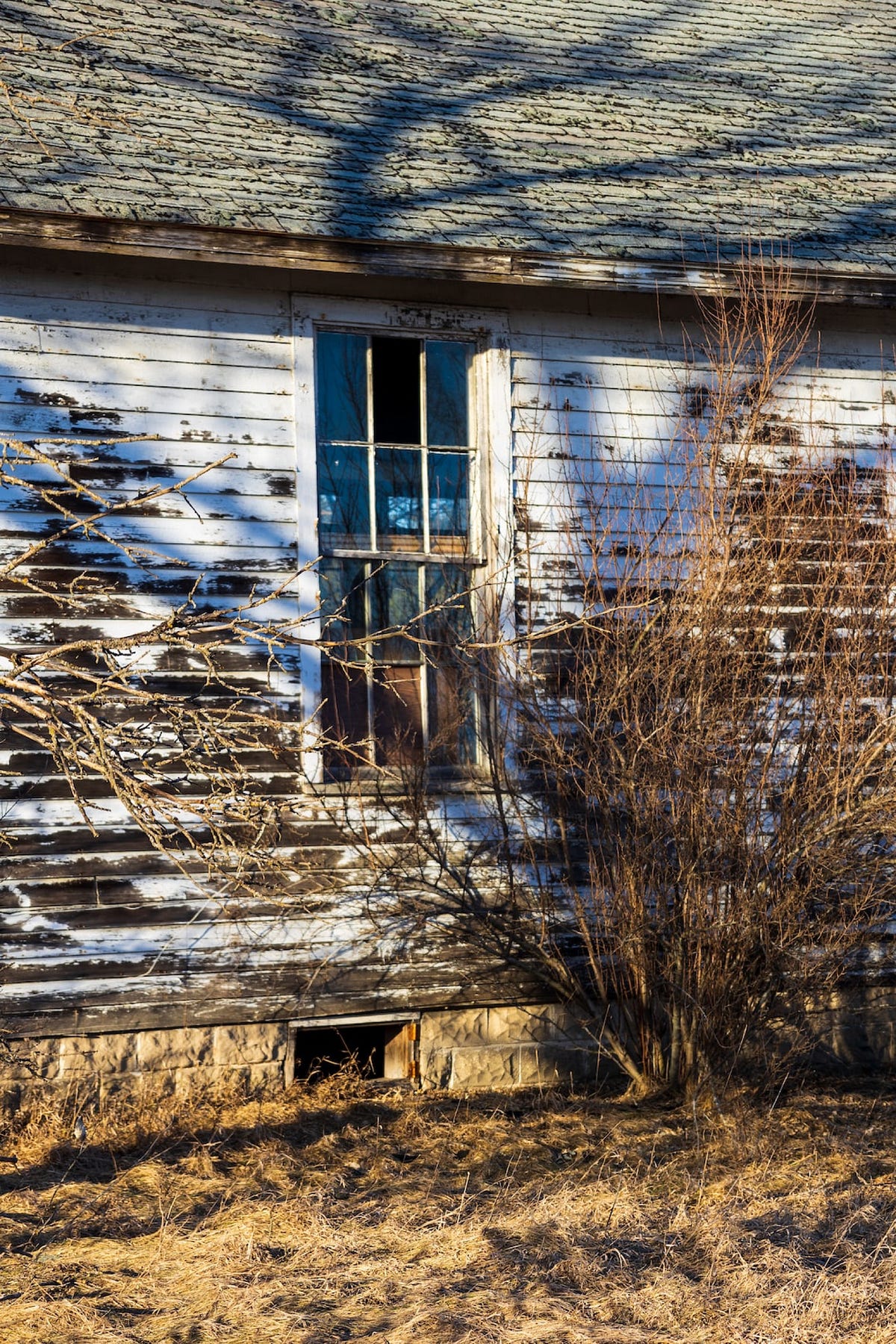 The Window. Nothing good can come from a window… | by Laura Ann | Medium