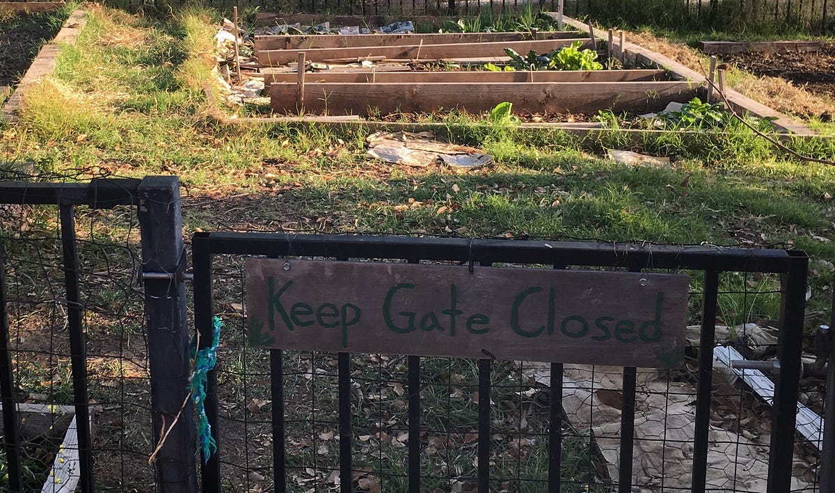 Whittier College’s Secret Garden. Andrew Bertelsen takes a moment to ...
