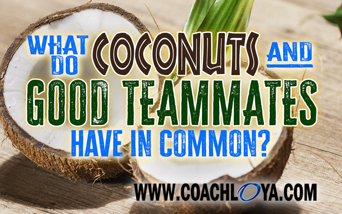 What Do Coconuts and Good Teammates Have in Common? | by Lance Loya ...