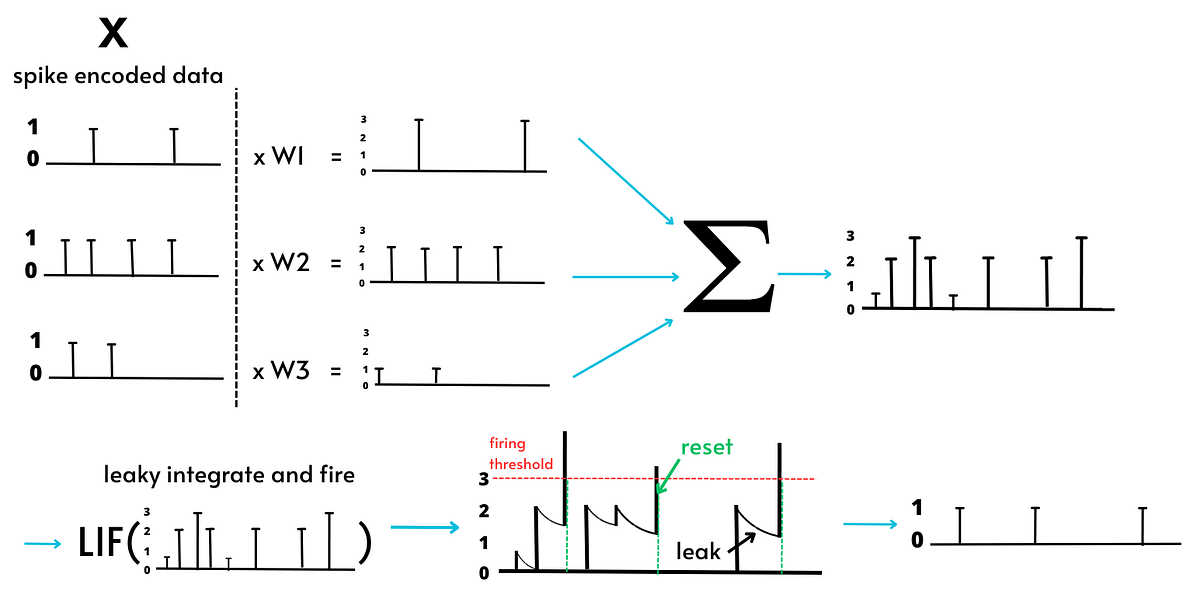 Intro To Spiking Neural Networks Snns By Amine Ziad Ounnoughene Medium