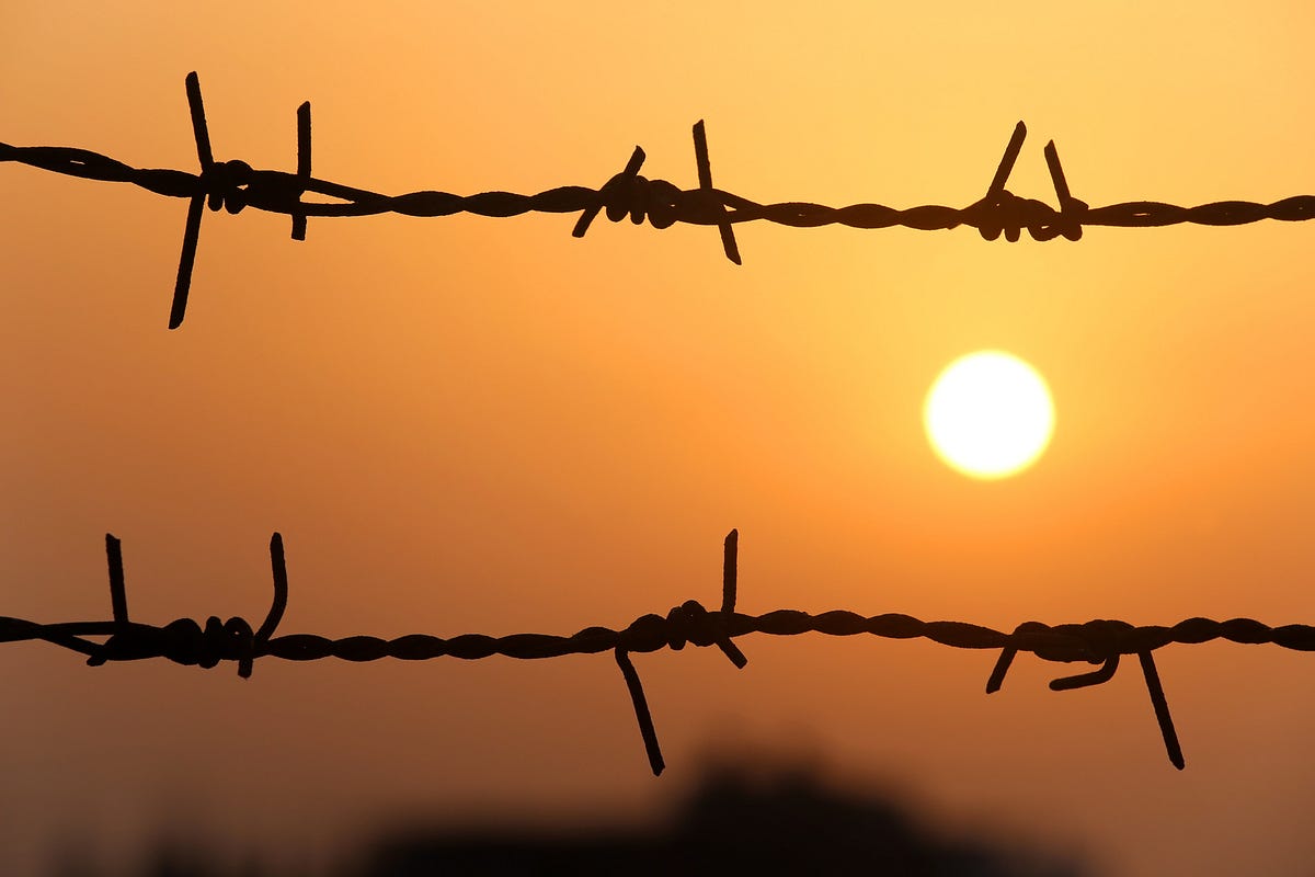 Caro Web #1. Rischiamo una nuova apartheid? | by TopoCopy | Caro Web ...