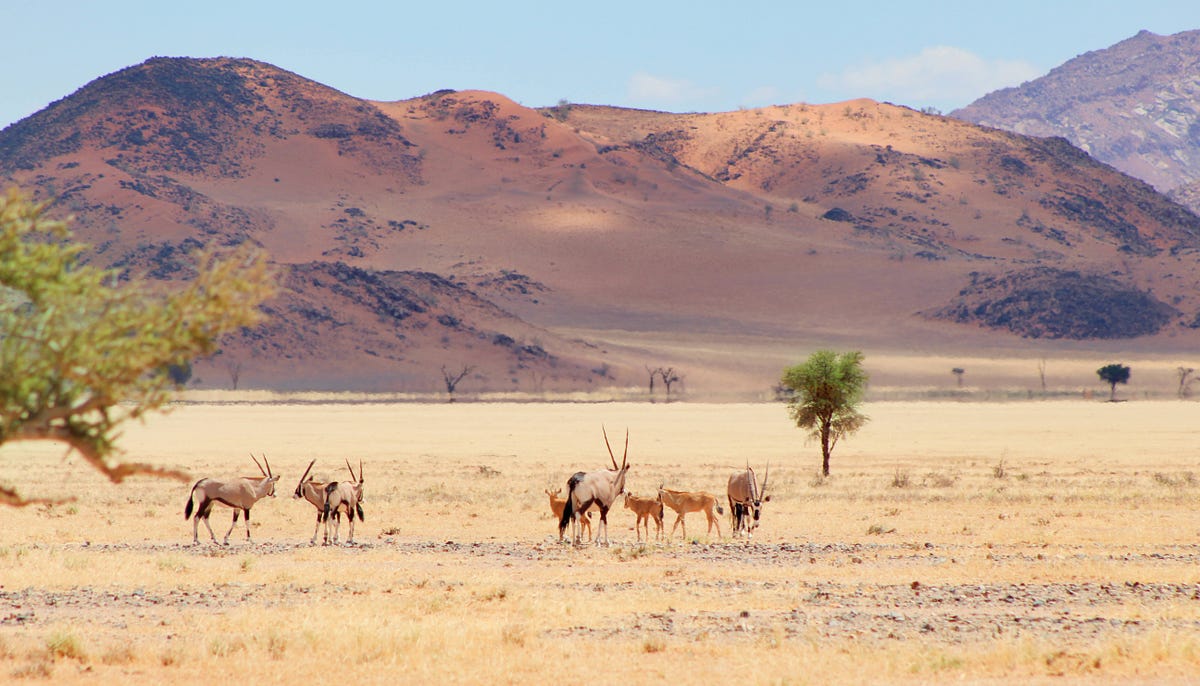 Namibia: Perhaps the Most Beautiful Country in the World - Road Trip ...
