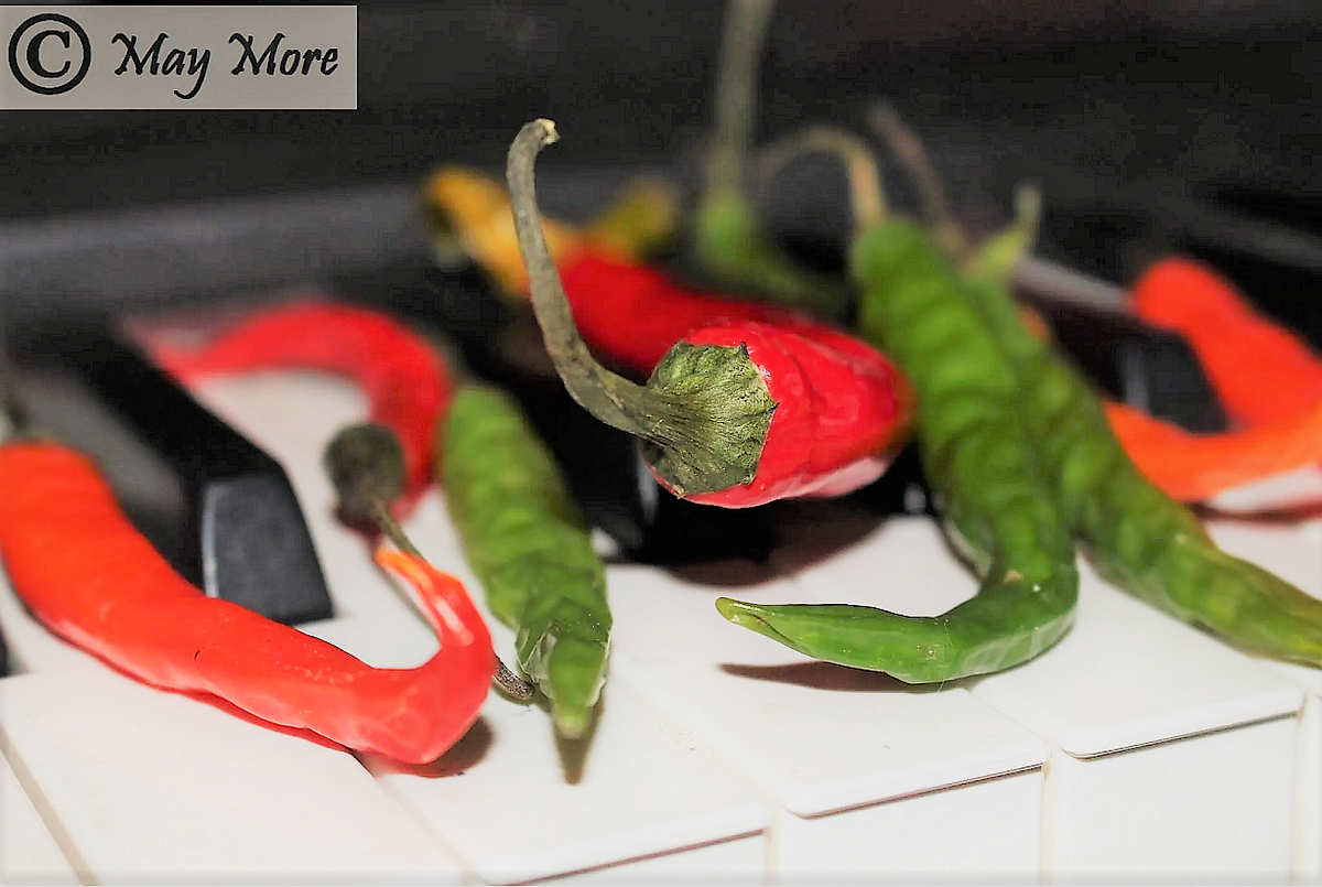 Say No to Drugs & Yes to Chillies | by May More | Dead or Alive | Medium