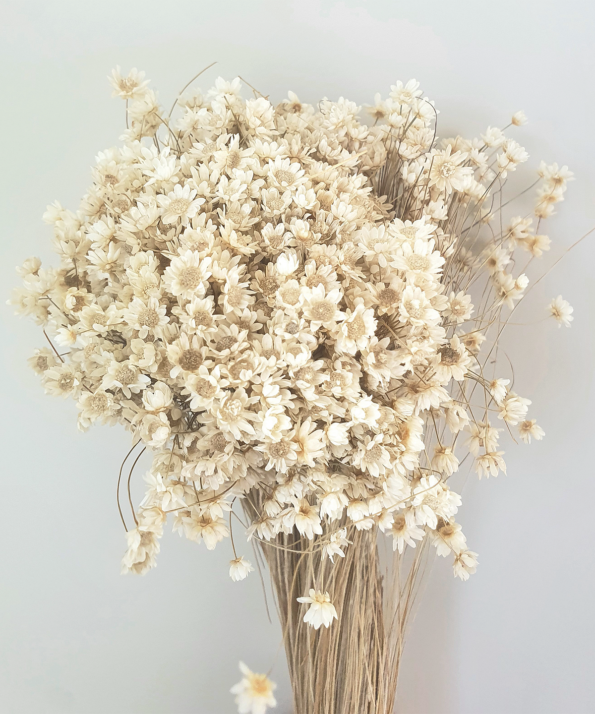 Dried Flower Arrangements — Willow Shack | Willow Shack | by Willow ...
