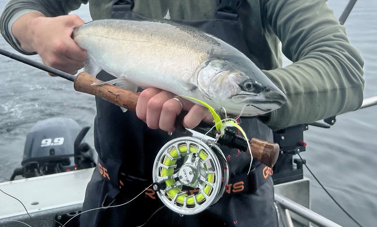 The Salmon Fishing Current blog provides early-summer salmon updates ...