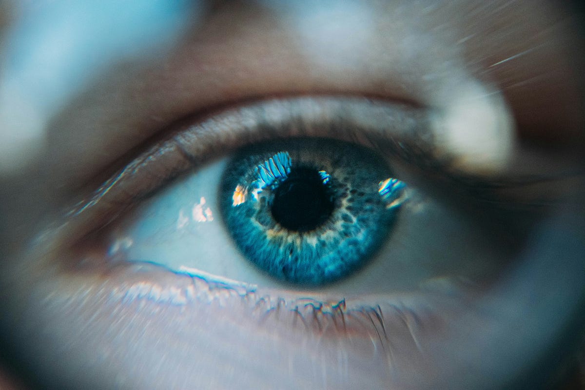 🎯 Day 5: Understanding CLIP — How AI Learns to See Through Language ...