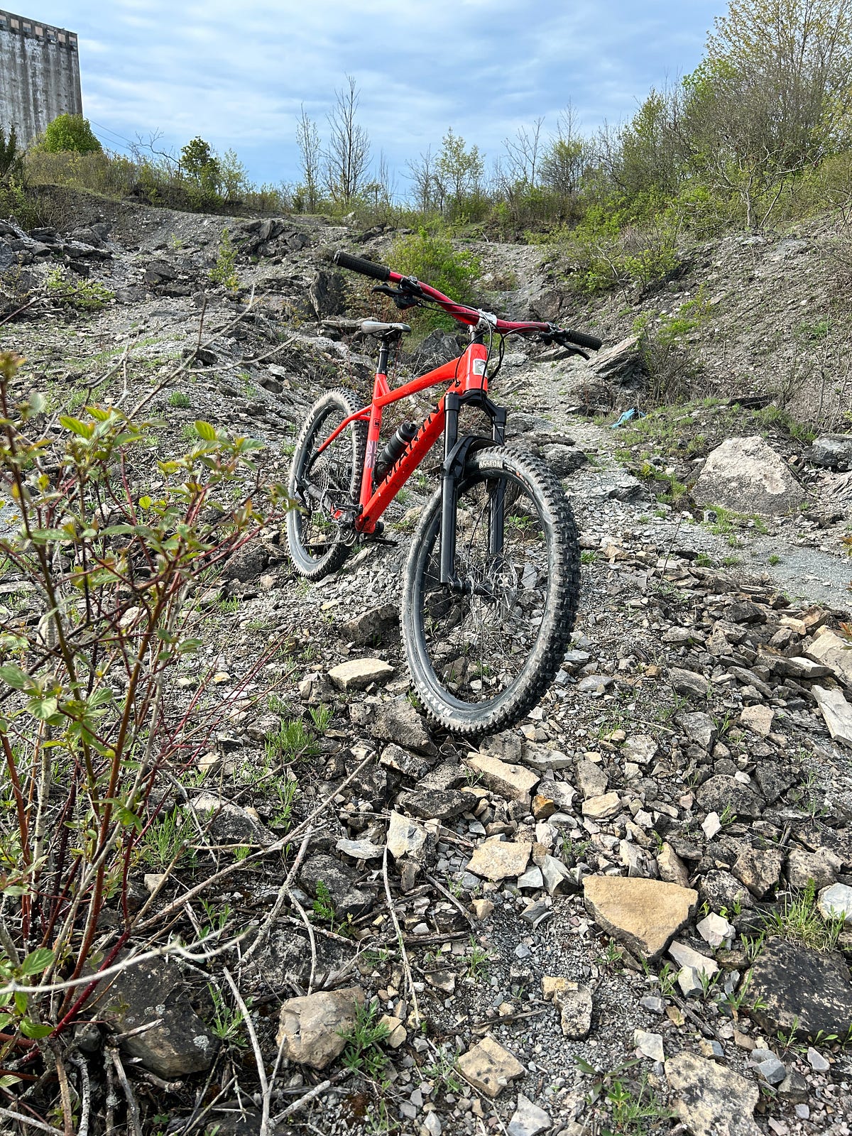 Marin Bikes & Hardtails. Marin is where my real love affair with… | by ...