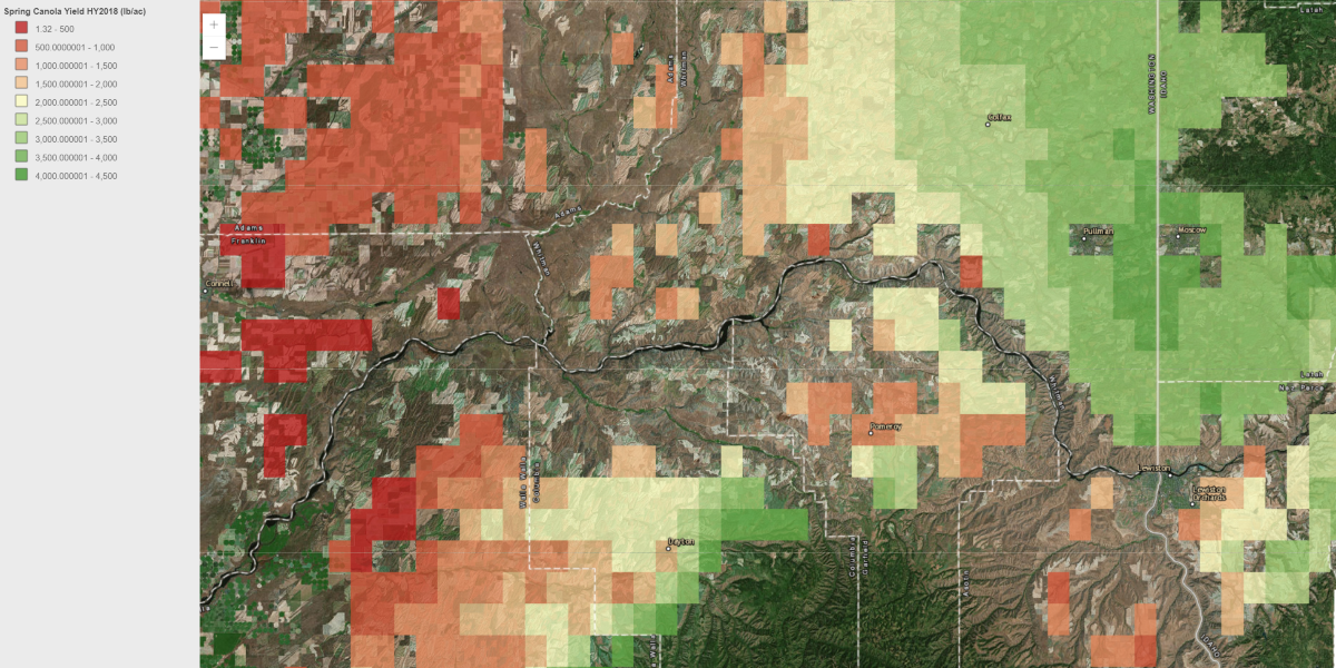 Flex Cropping Spring Canola in the Inland Pacific Northwest | by Bryan ...