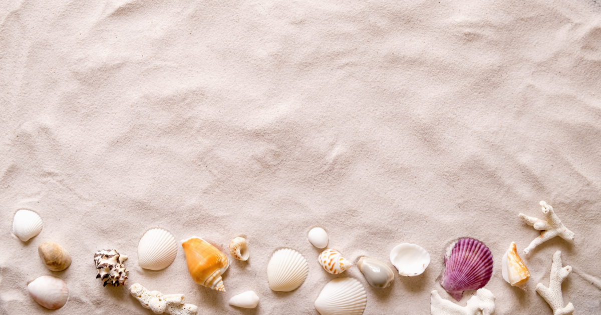 Being slow and deliberate is a gift and not a flaw. How being slow in business provides an ...