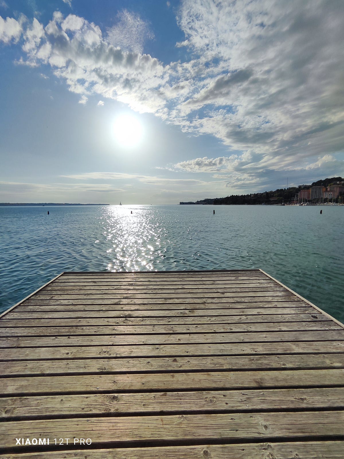 Leseni “Pomoli” Portorož…. Slovenija | by Perko Kazimir | Apr, 2025 ...