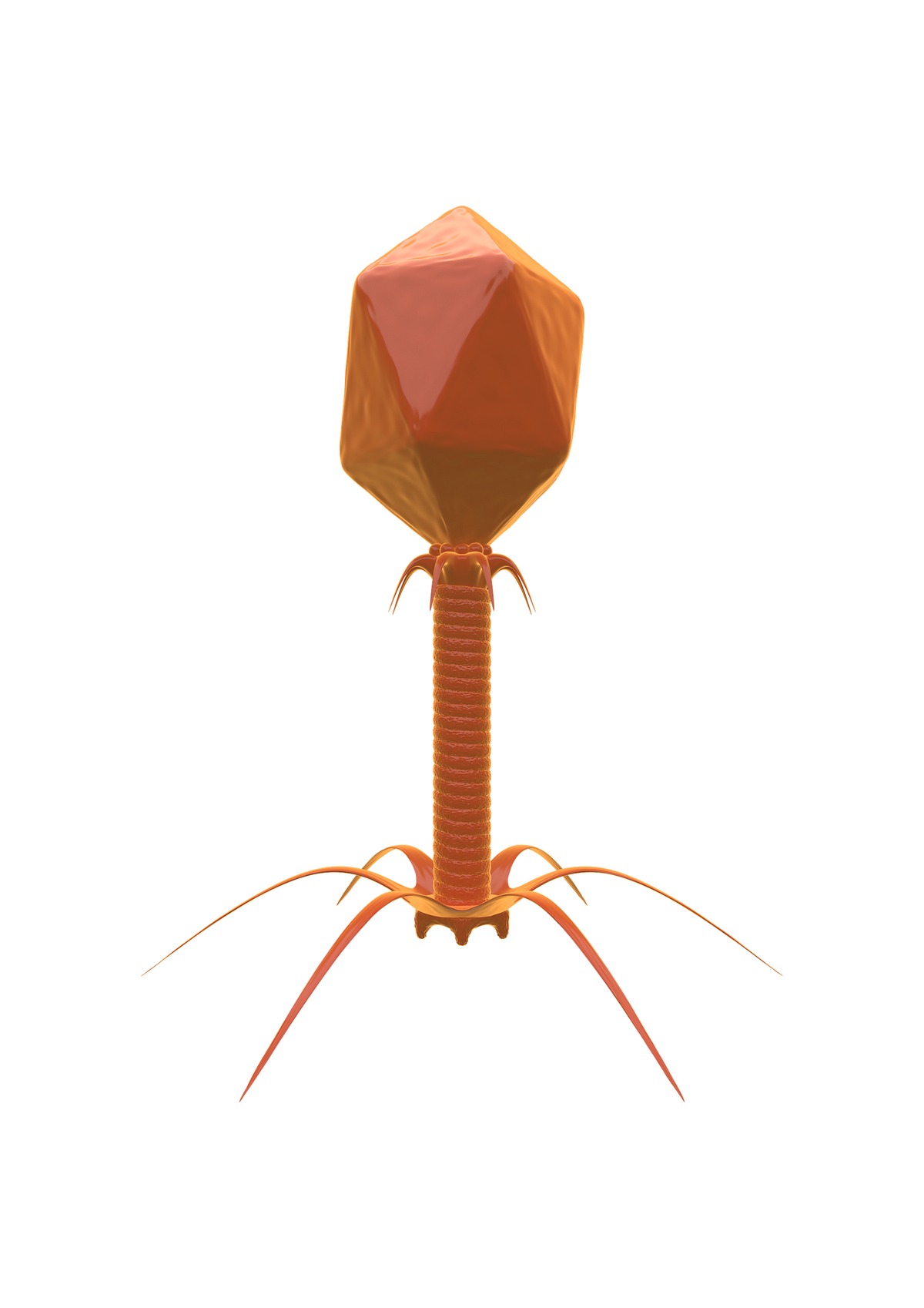 Could This Virus Save Us From The Antibiotic Resistance Crisis ? | by ...