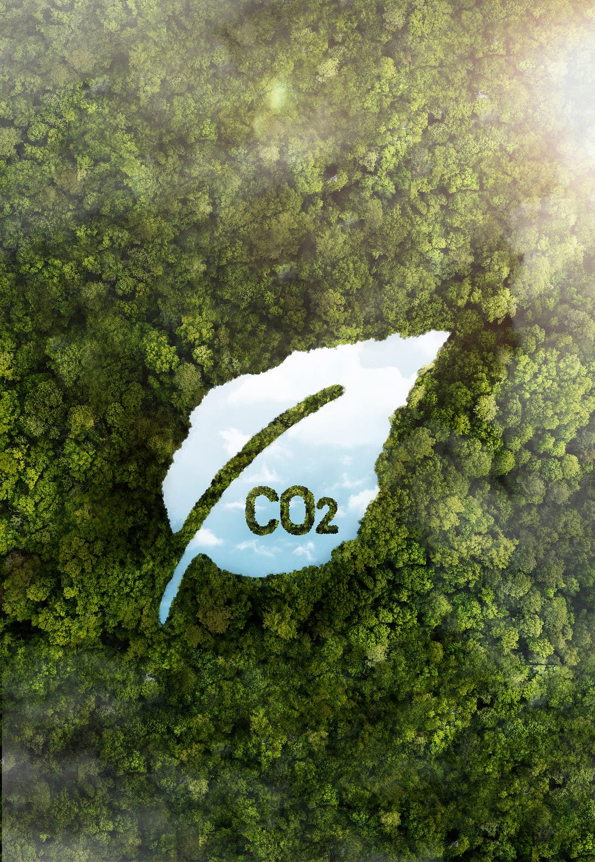 10 Effective Ways to Reduce CO2 Emission and Save the Planet | by ...